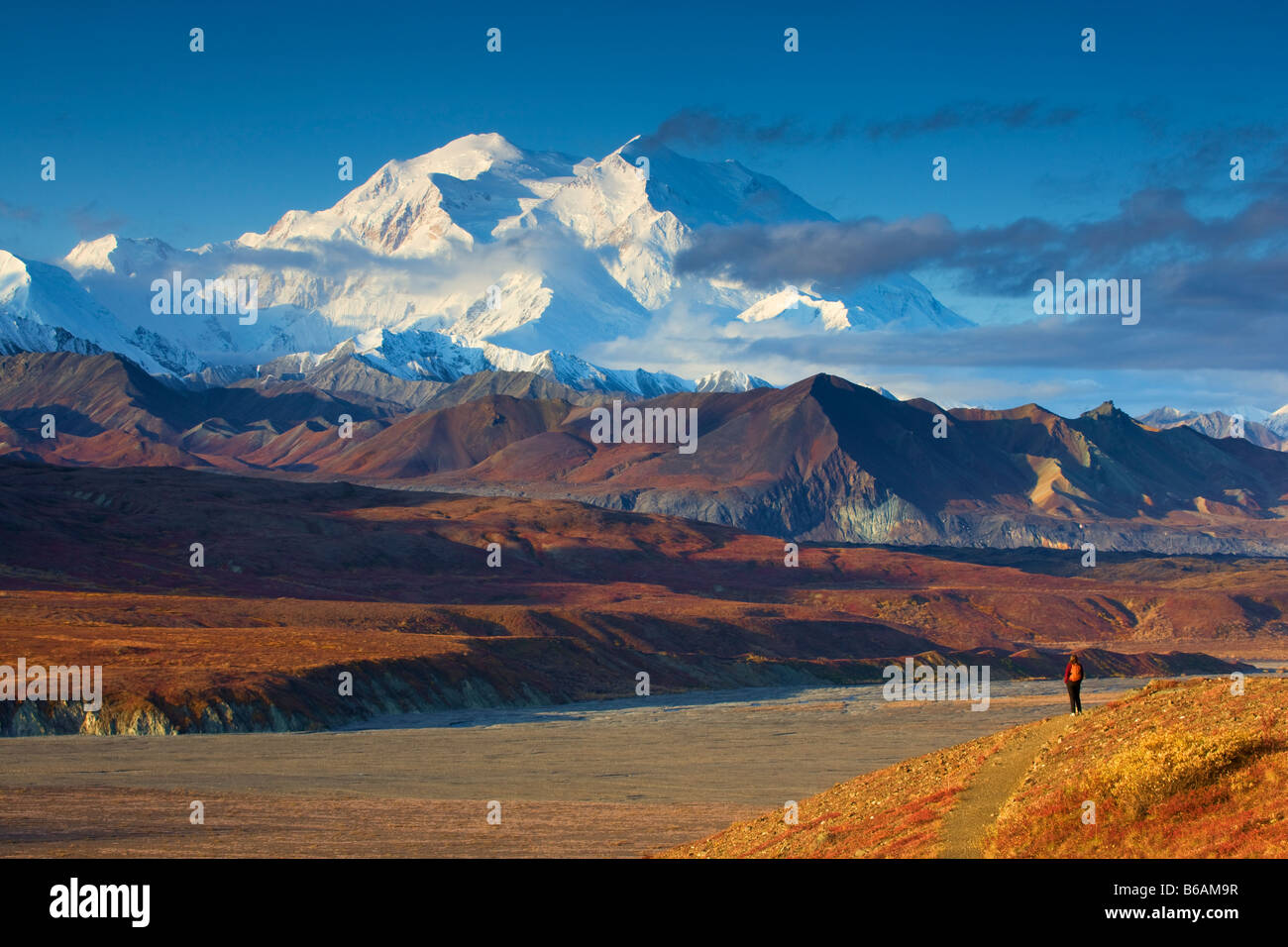A hiker enjoying the view of Mt McKinley Denali National Park Alaska ...