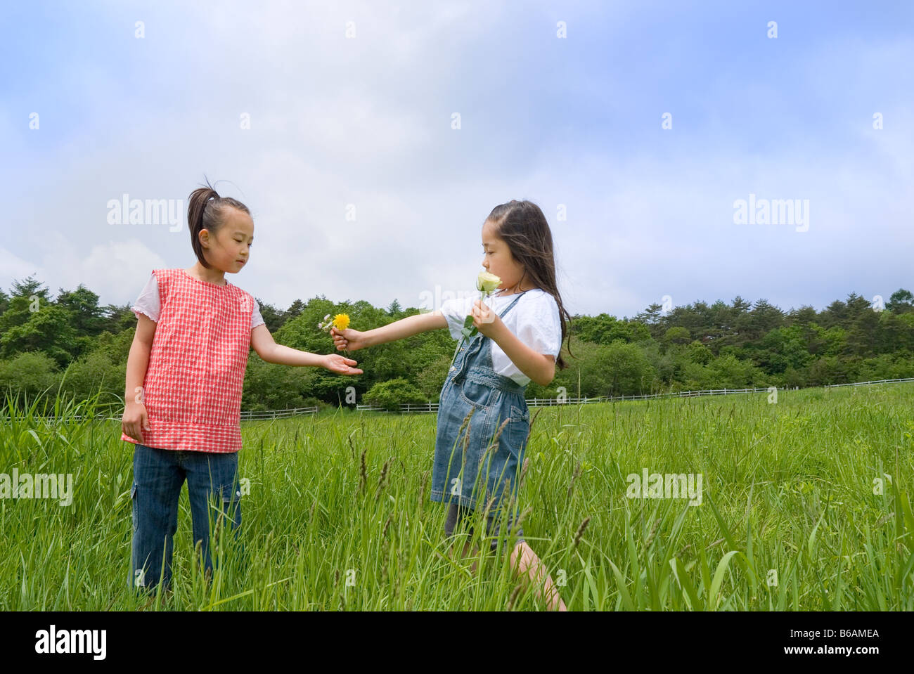 Girl giving flowers to friend Stock Photo - Alamy