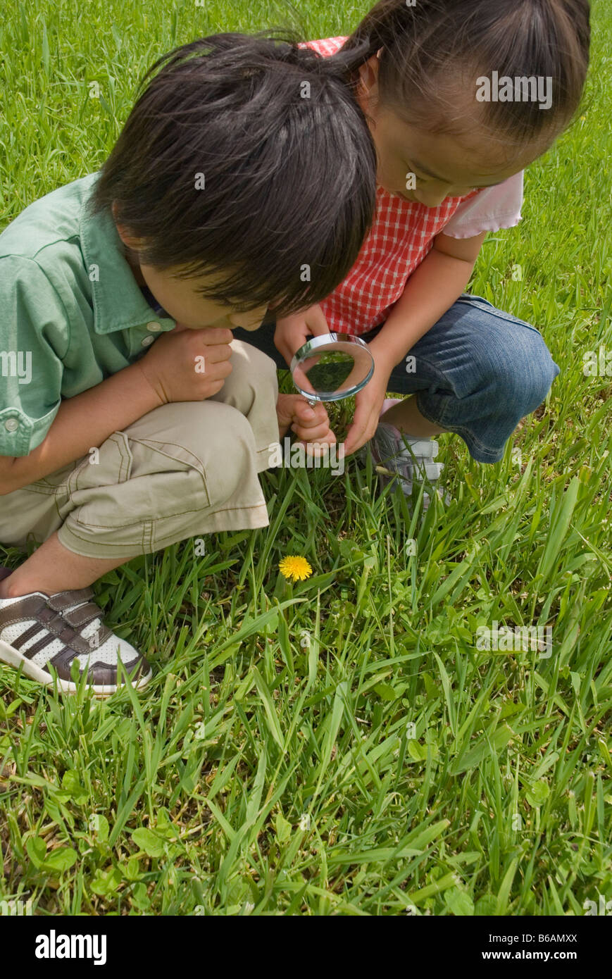 Children looking at flower with magnifying glass Stock Photo - Alamy