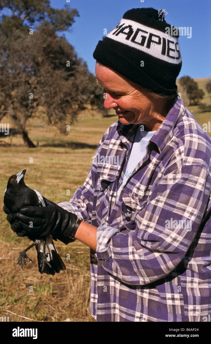 Researcher holding bird hi-res stock photography and images - Alamy