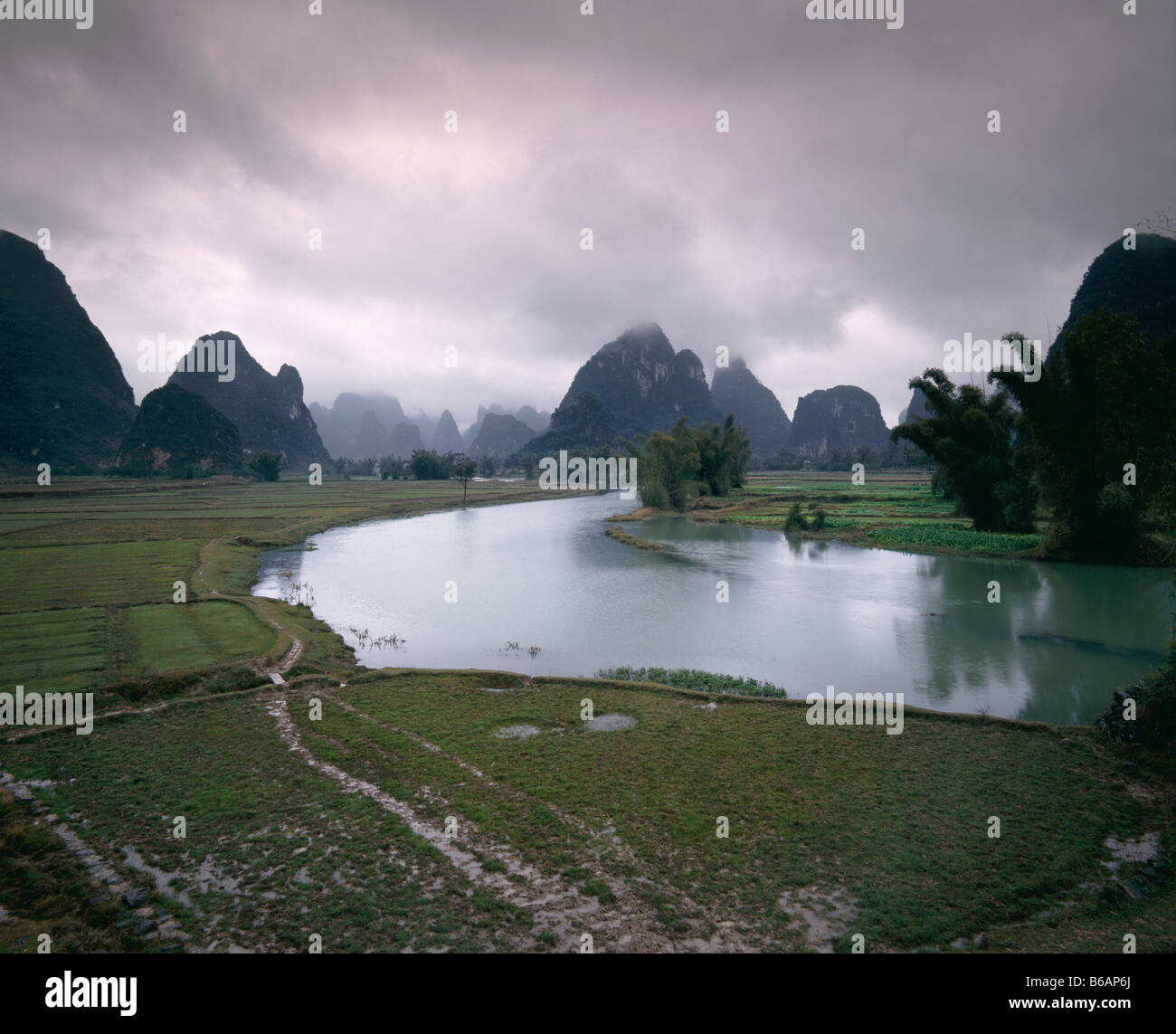 Rice fields by li river yangshuo hi-res stock photography and images ...