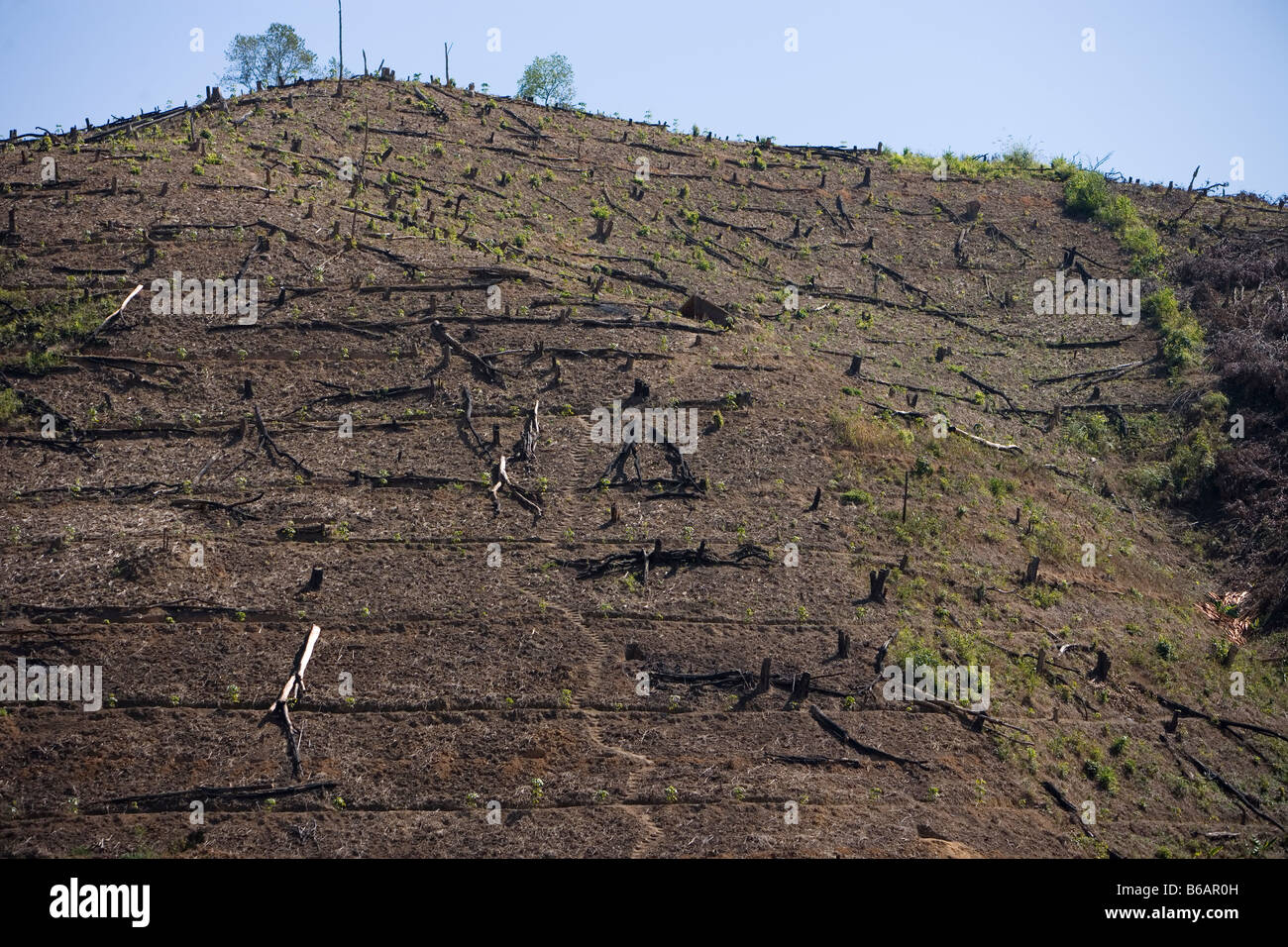 Barren hillside hi-res stock photography and images - Alamy