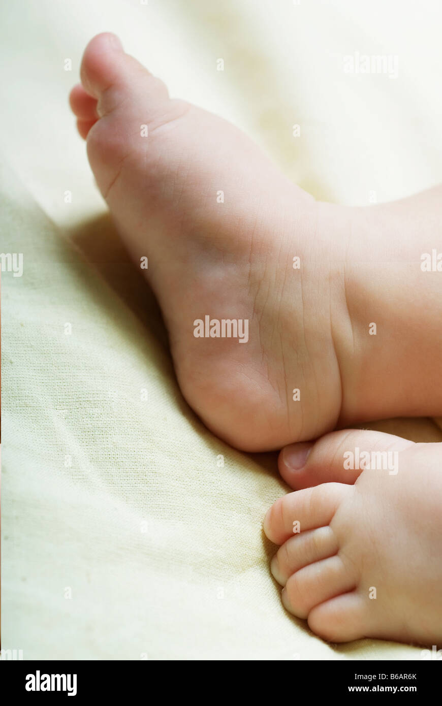 Close-up of baby's feet Stock Photo - Alamy