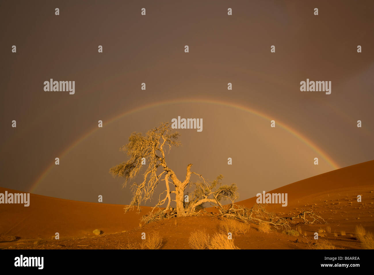 Africa Namibia Namib Naukluft National Park Rainbow and rain clouds ...