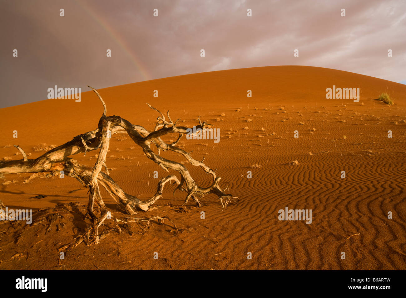 Africa Namibia Namib Naukluft National Park Rainbow and rain clouds ...