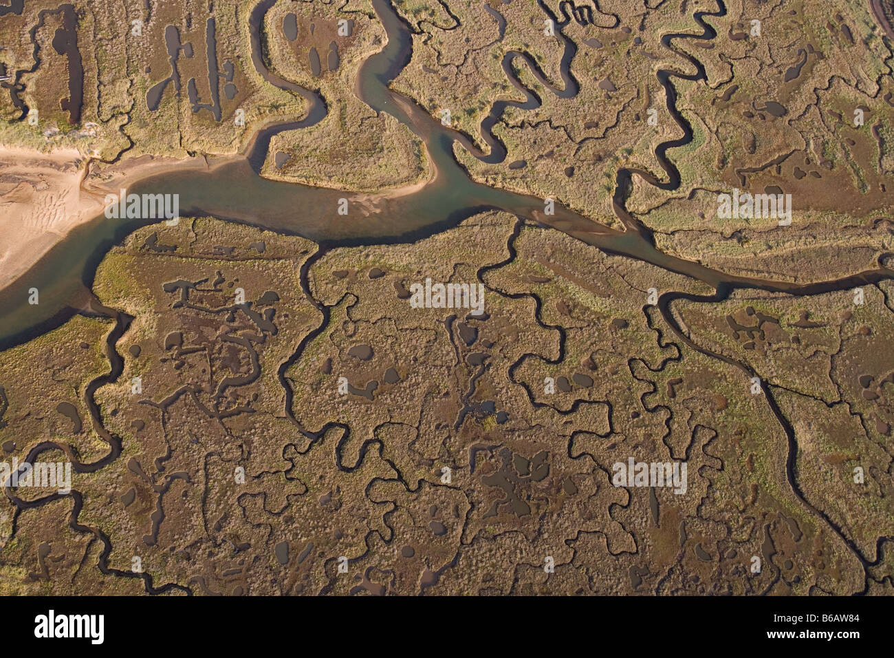 Aerial landscape showing the intertidal zone of creeks and saltmarsh ...