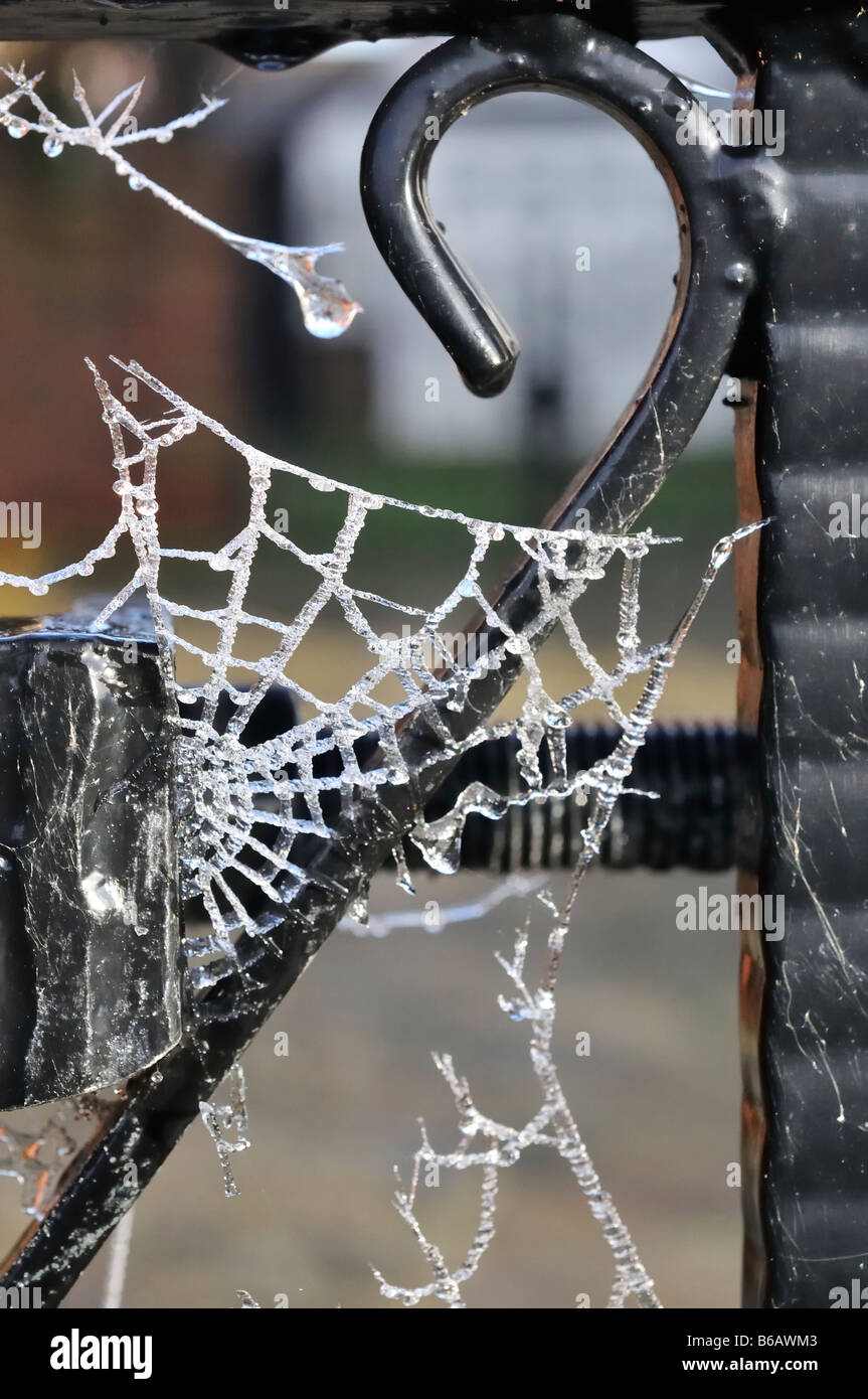 ice cobweb cobwebs winter day black scrolled gate Stock Photo - Alamy