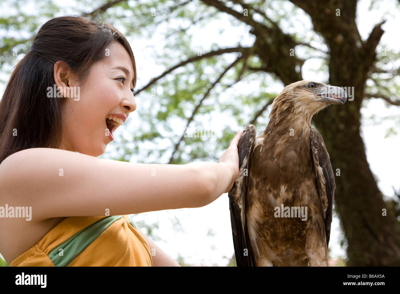 Young woman touching eagle Stock Photo - Alamy