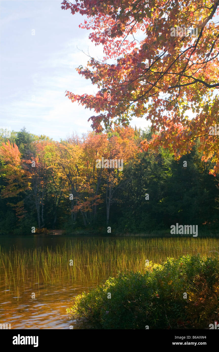 MICHIGAN Autumn color in the forest surrounding Mirror Lake in the ...