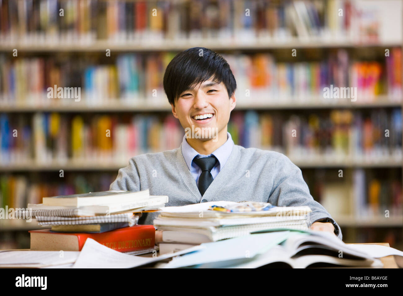 in the library Stock Photo - Alamy