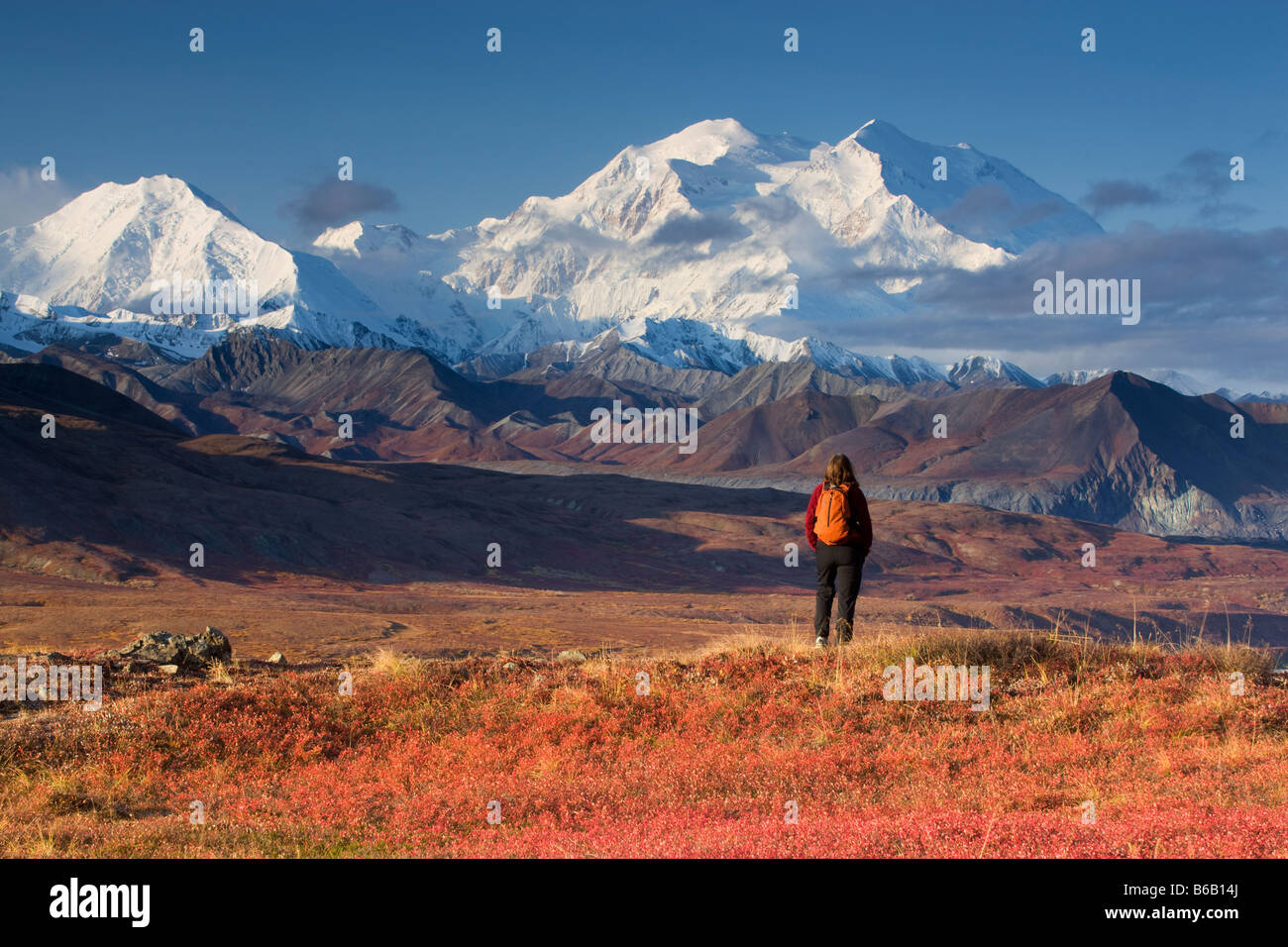 A hiker enjoying the view of Mt McKinley Denali National Park Alaska ...