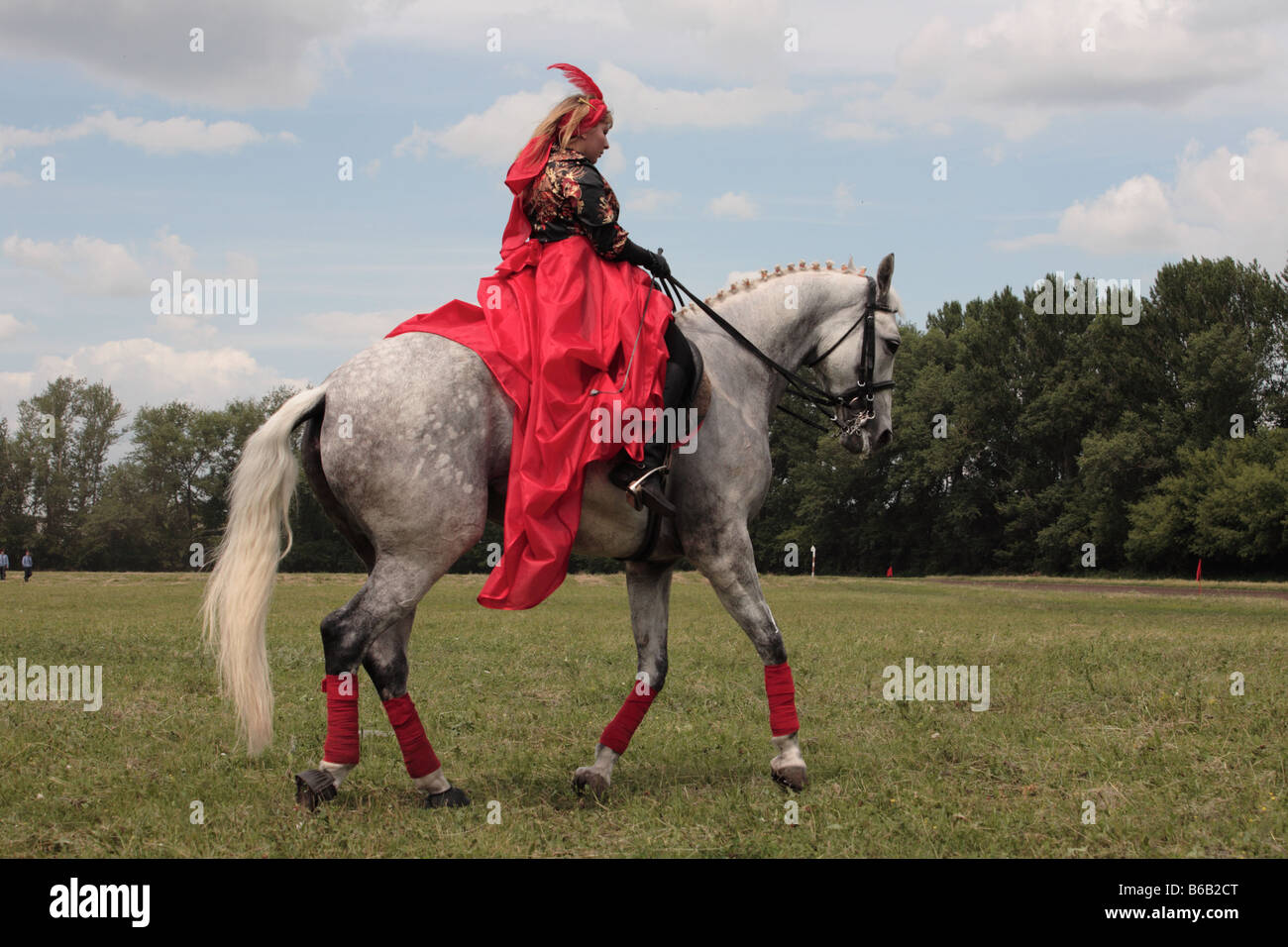 Equestrian sport. Dressage Stock Photo - Alamy