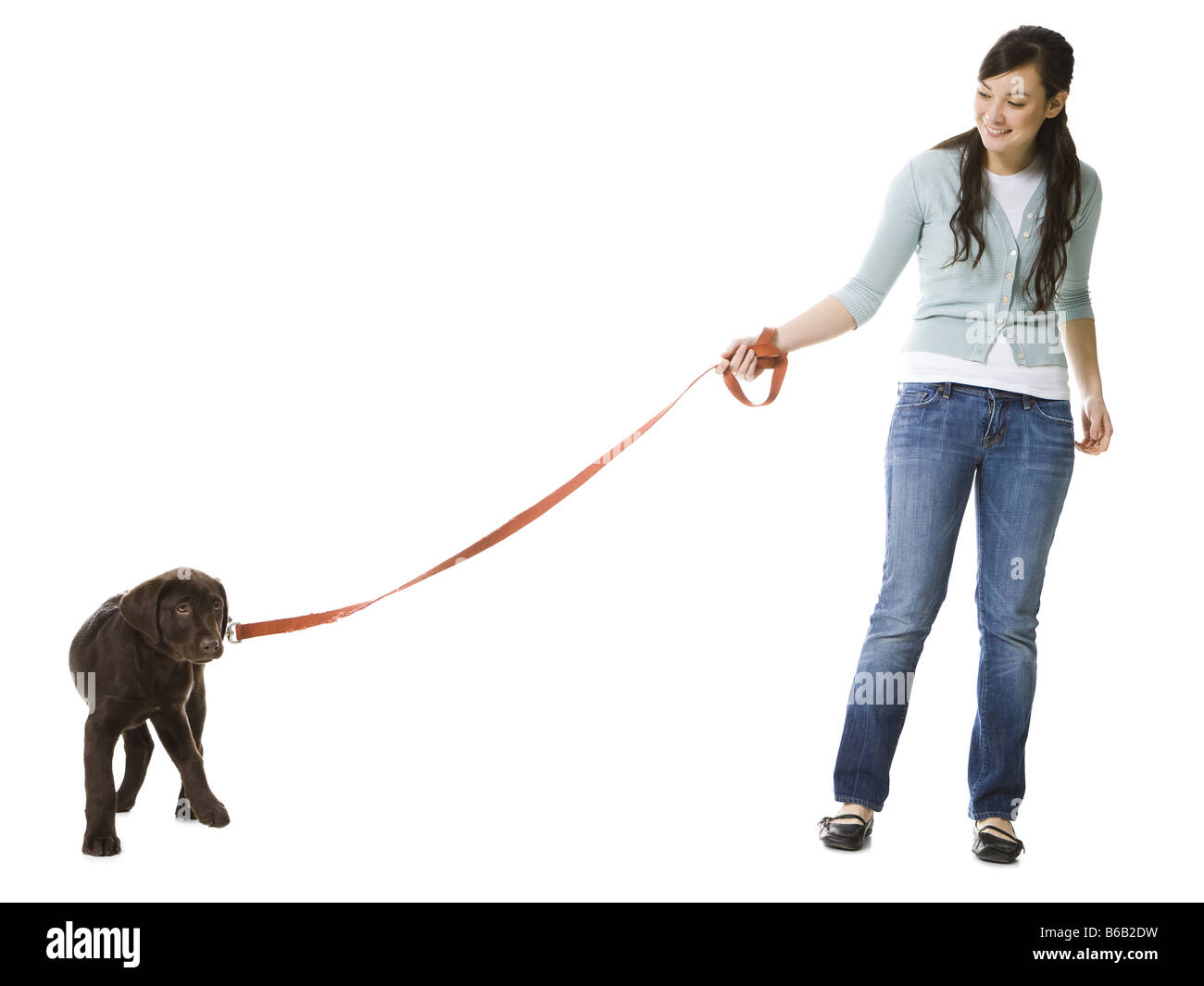 Dog With Leash High Resolution Stock Photography and Images - Alamy