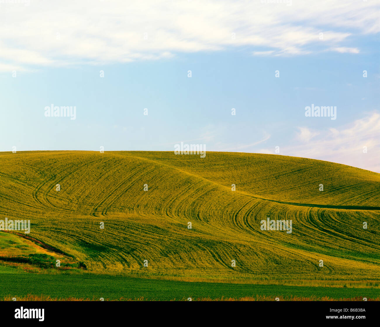 Field washington hi-res stock photography and images - Alamy