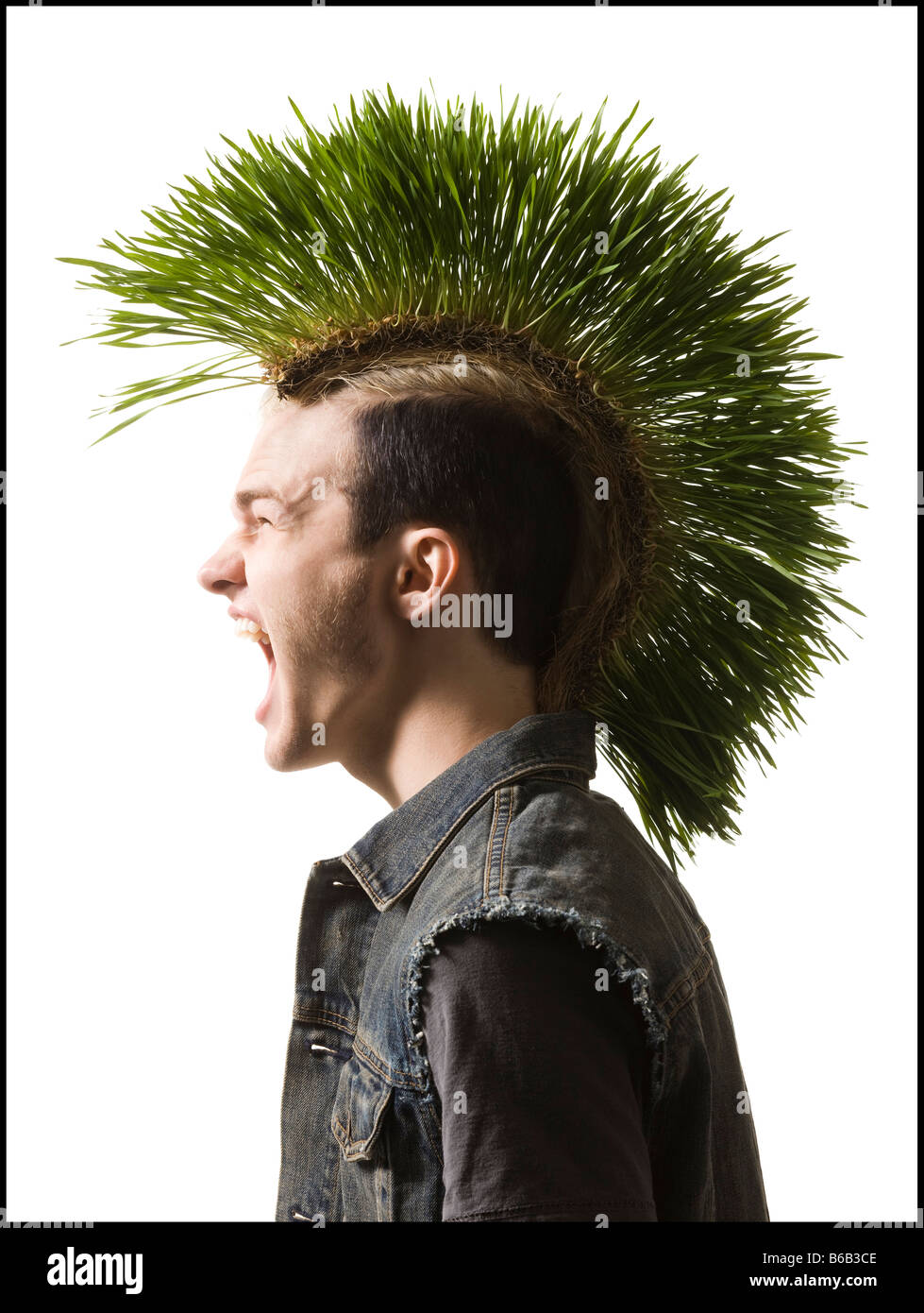 Green mohawk hi-res stock photography and images - Alamy