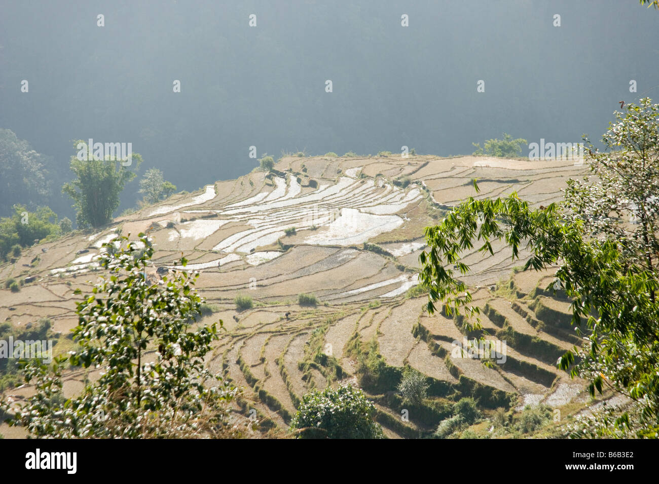 Nepal irrigation hi-res stock photography and images - Alamy