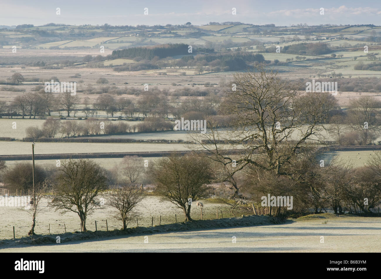 Winter scene Cors Caron nature reserve between Pontrhydfendigaid and ...