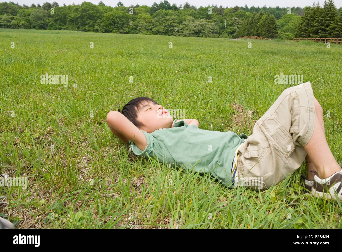 Boy sleeping on grass field Stock Photo - Alamy