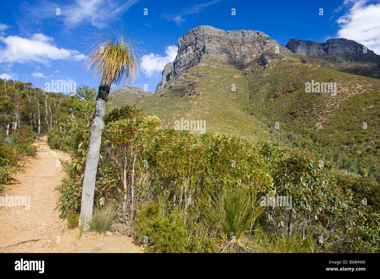 Path up to Bluff Knoll in the Stirling Range National Park, Western ...