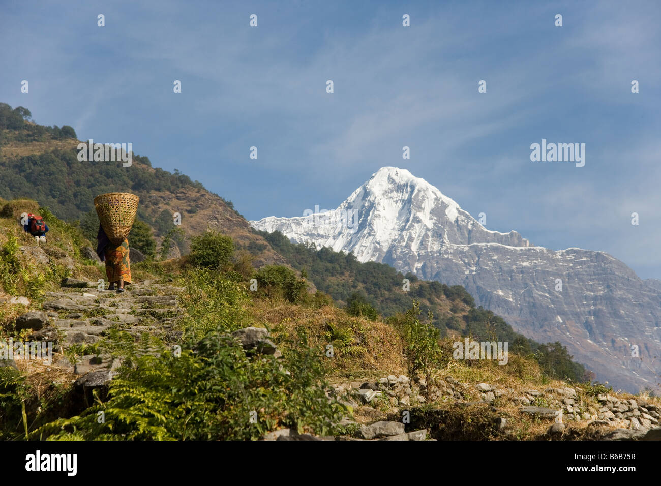 Hiunchuli Mountain and porter on the trekking path near Kimche village ...
