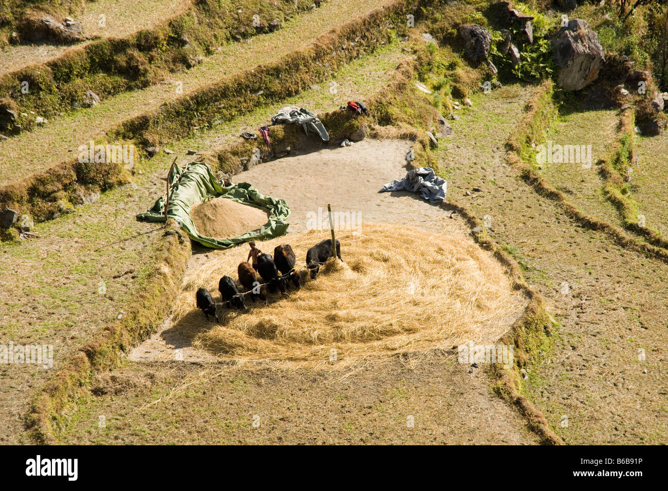 Threshing circle hi-res stock photography and images - Alamy
