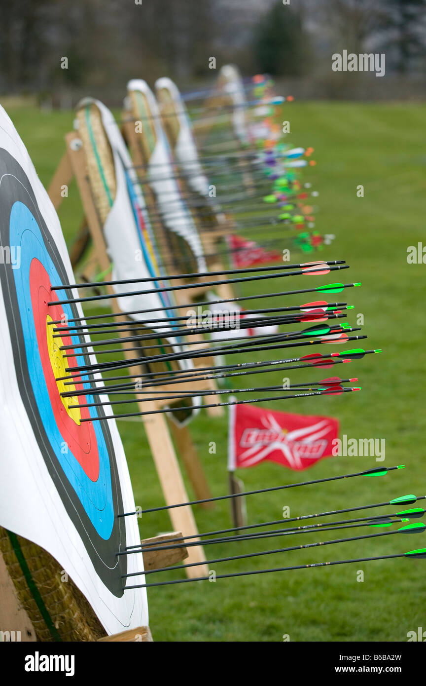 Archery arrows in target bosses Stock Photo - Alamy