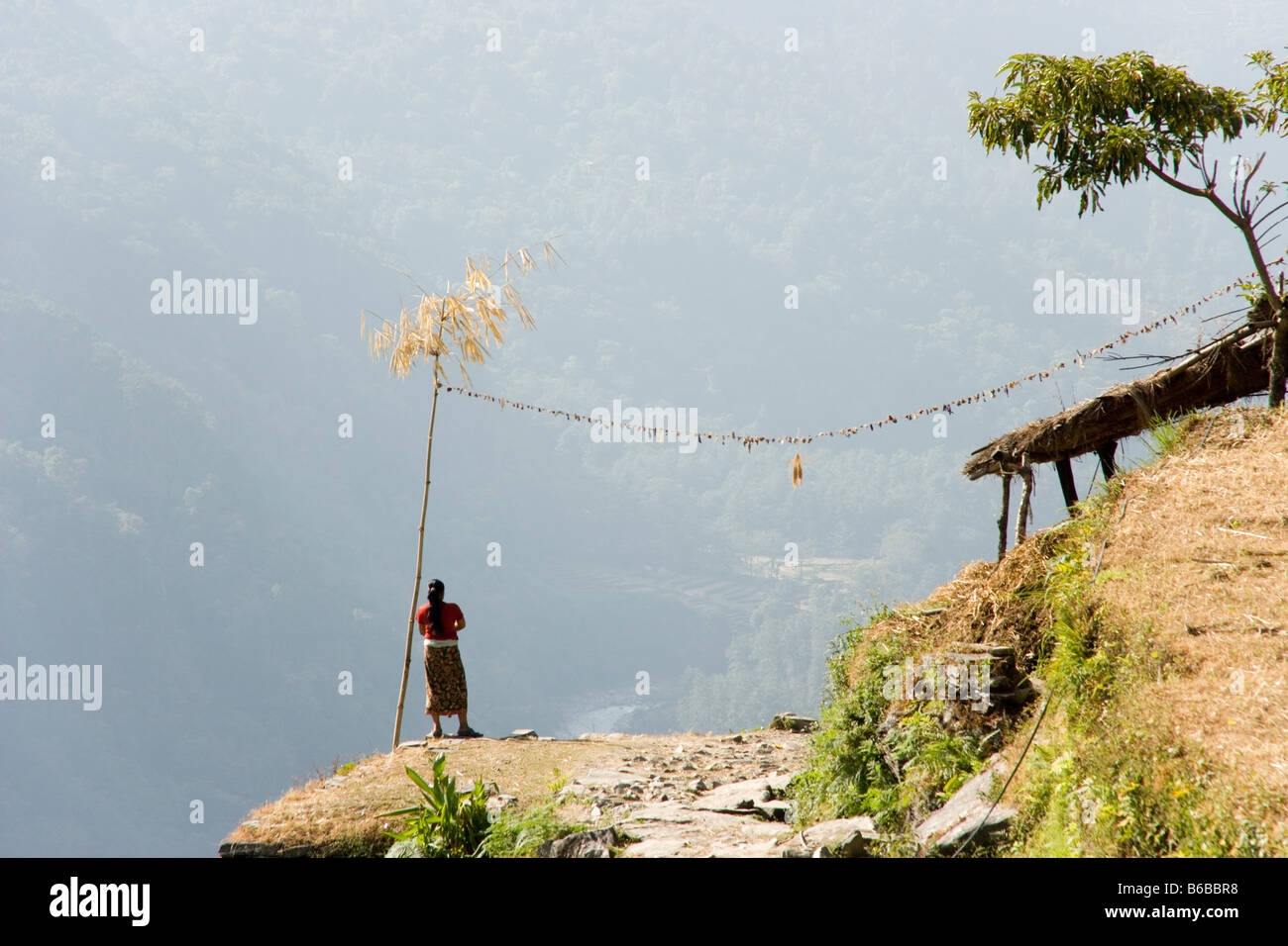 Kimche hi-res stock photography and images - Alamy