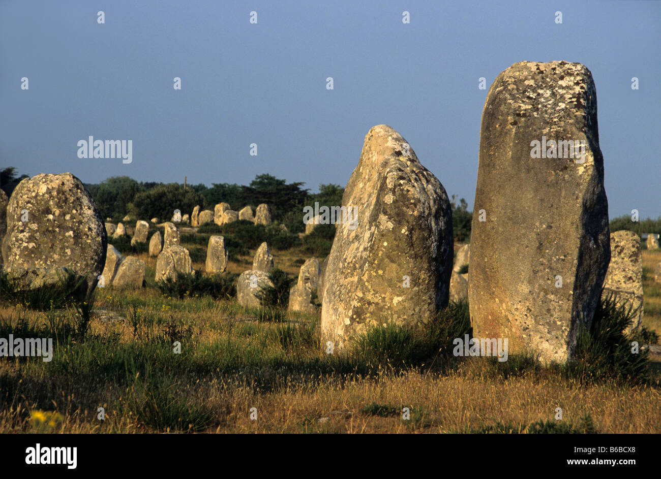 Alignment of Menec, Prehistoric Megalith, Menhirs or Standing Stones ...