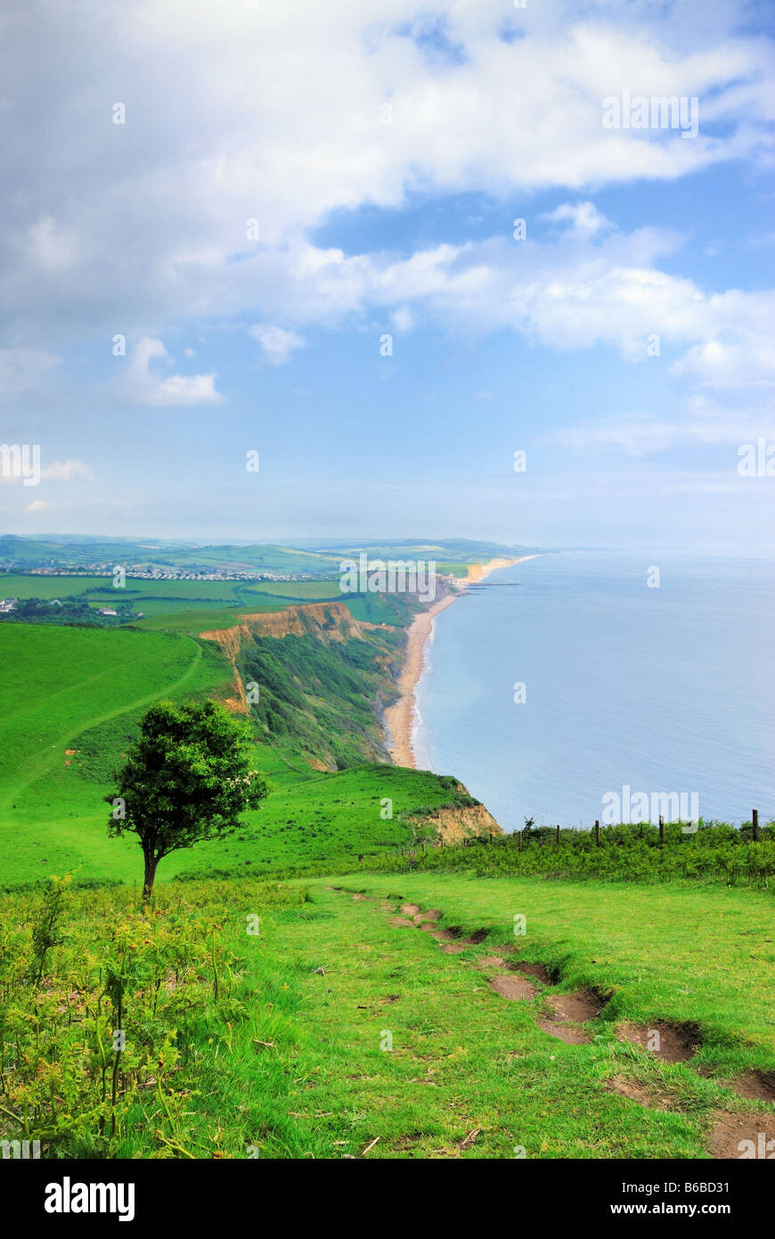South West Coast Path between Seatown and Eype Mouth, Dorset, England ...
