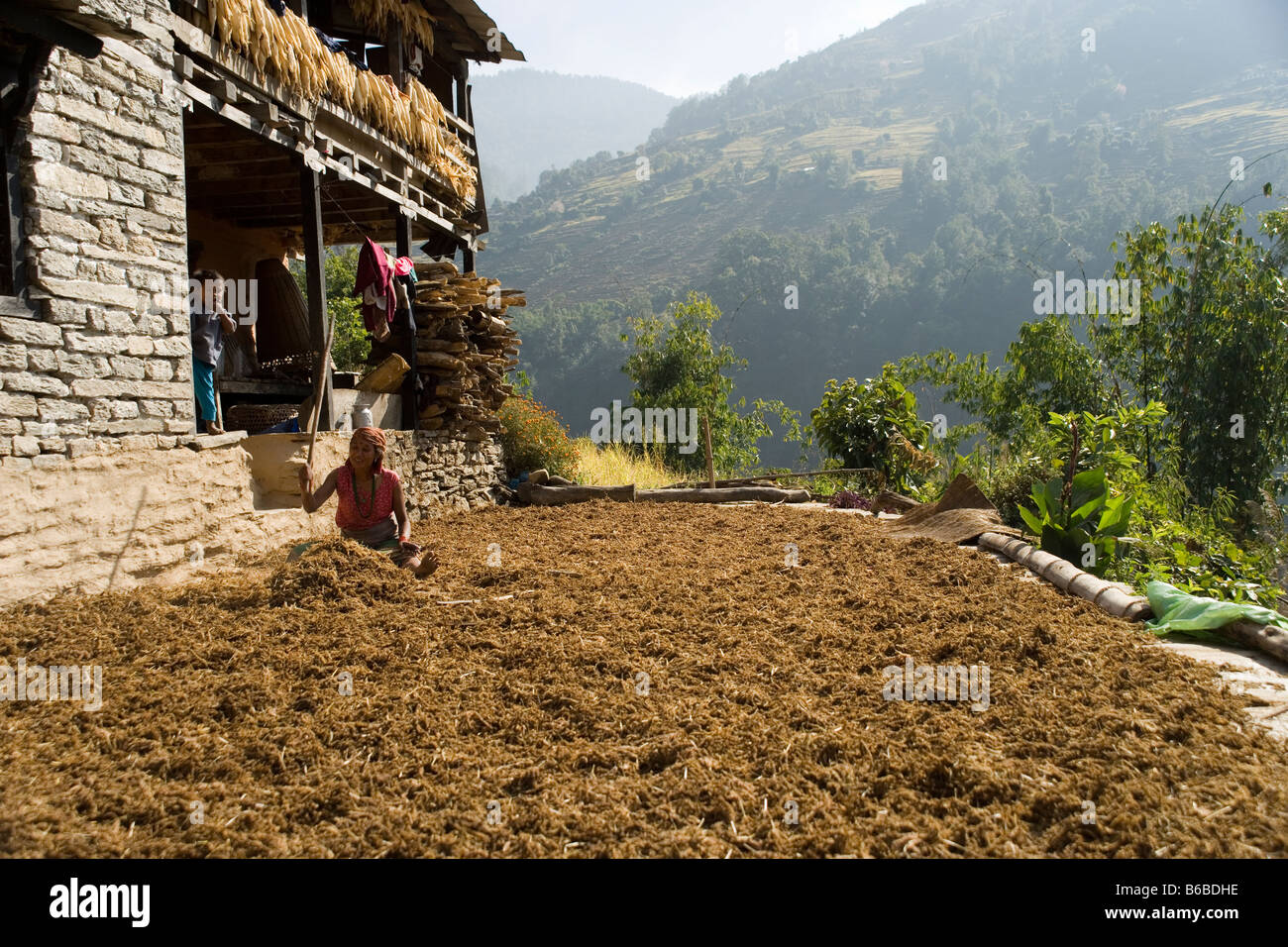 Threshing Yard High Resolution Stock Photography and Images - Alamy