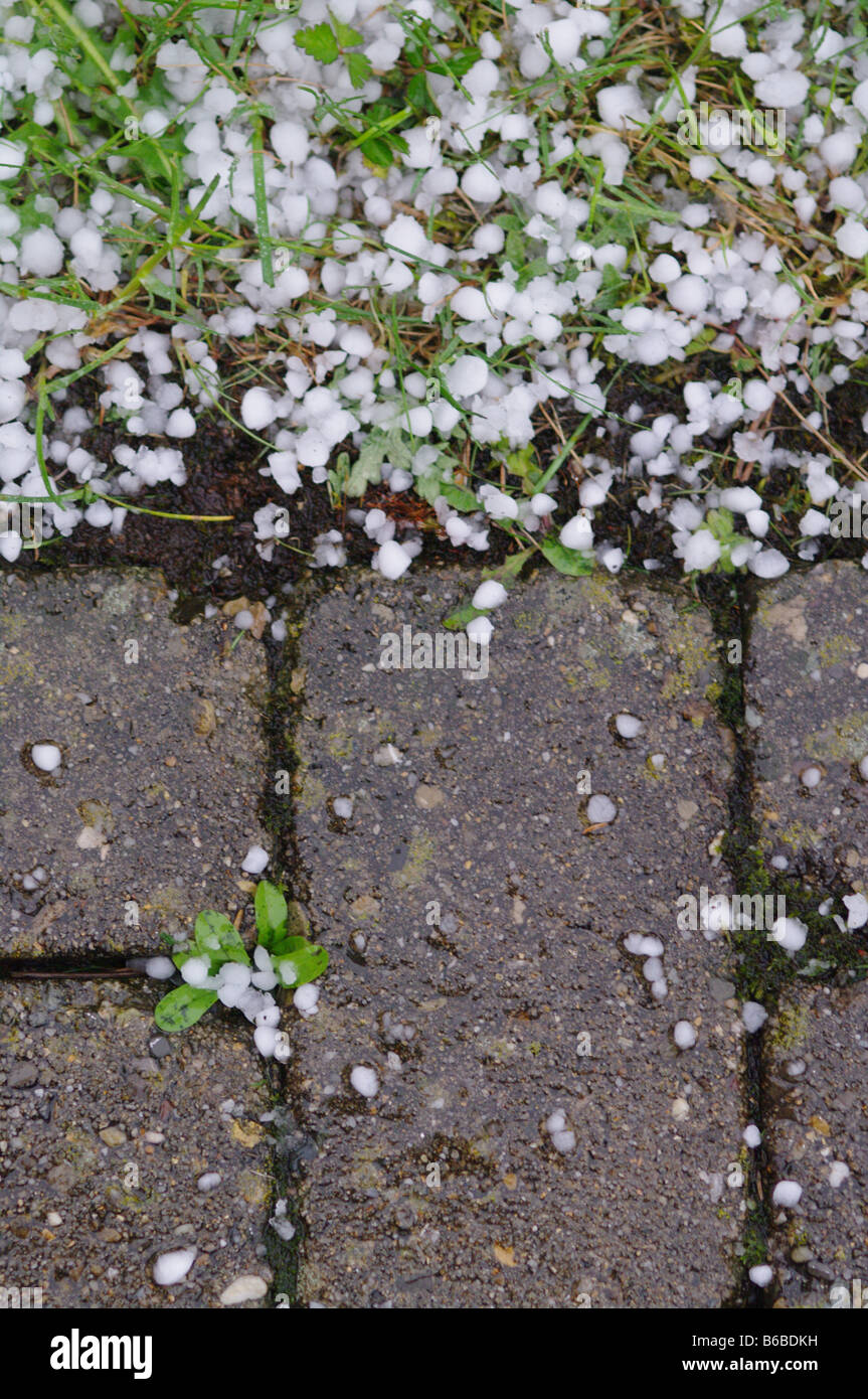Hail storm grass hi-res stock photography and images - Alamy