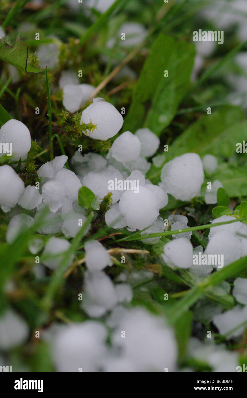 hail balls on the ground Stock Photo - Alamy
