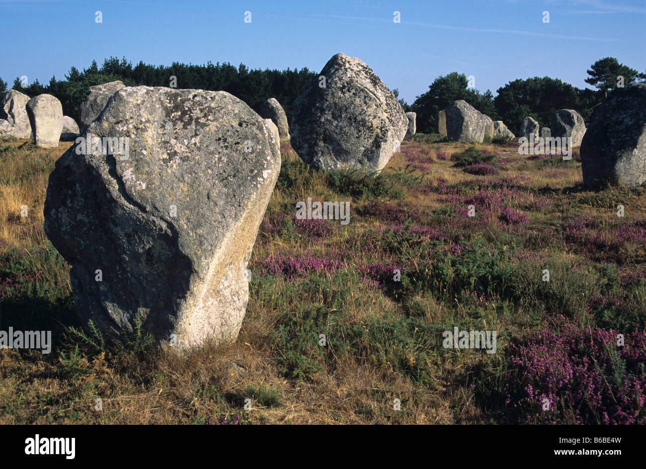 Alignment of Kermario, Prehistoric Megalith, Menhirs or Standing Stones ...