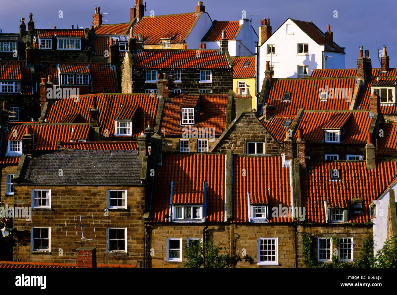 Rooftop panorama in Robin Hood's Bay, North Yorkshire Stock Photo - Alamy