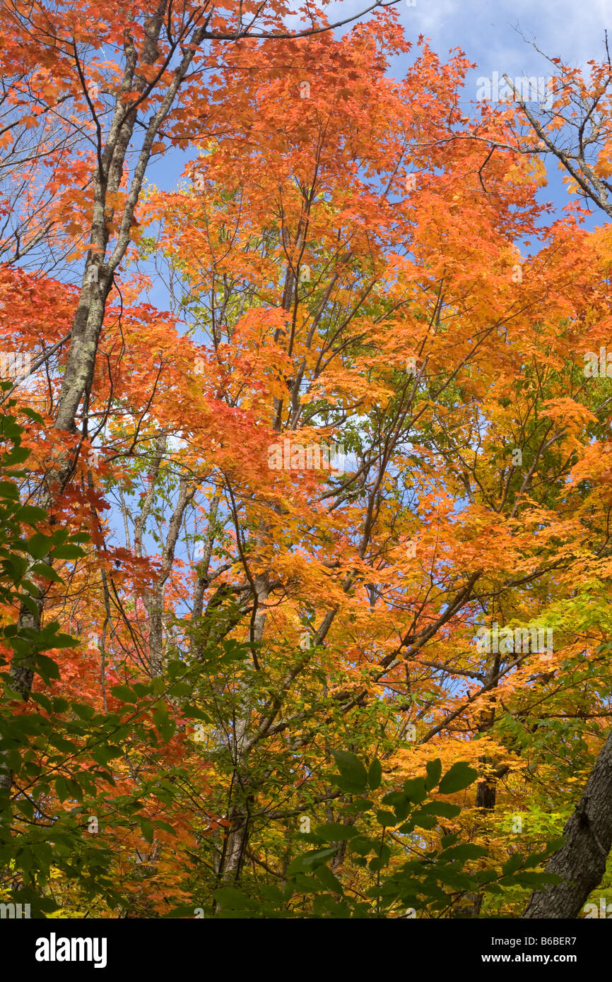 Fall color porcupine mountains state park hi-res stock photography and ...
