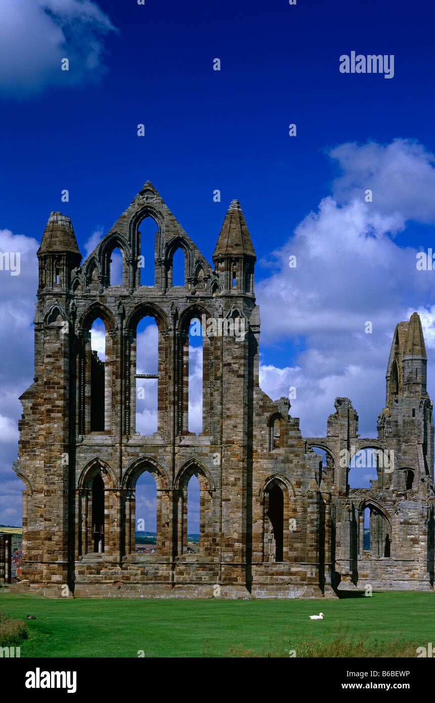 View of Whitby Abbey, Whitby, North Yorkshire Stock Photo - Alamy