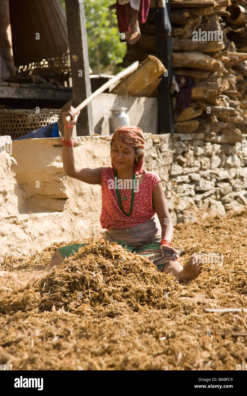 Threshing yard hi-res stock photography and images - Alamy