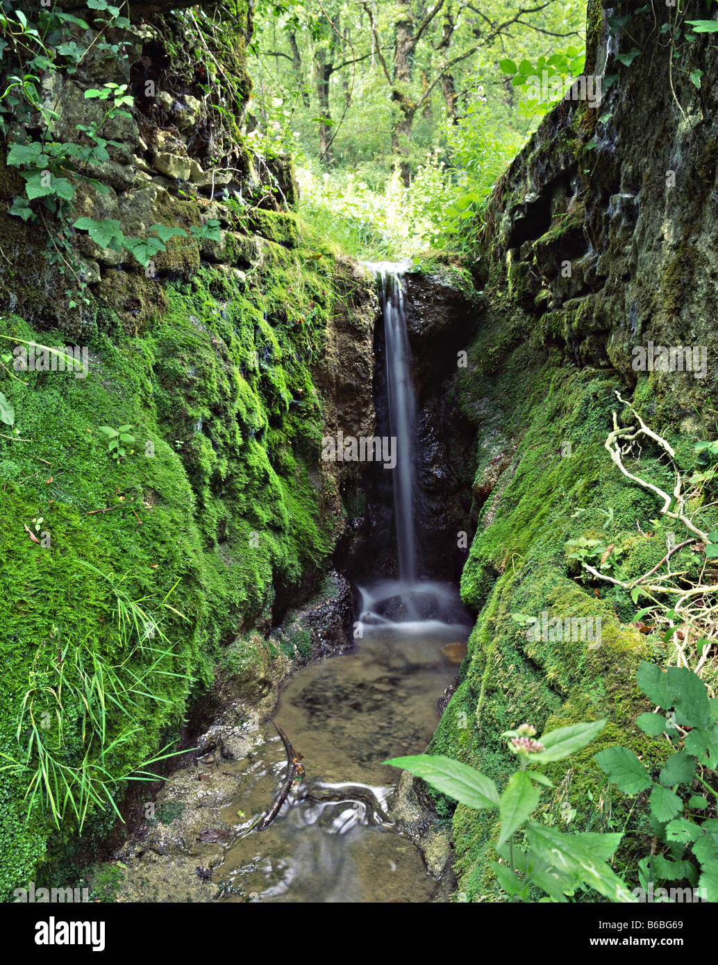Waterfall in forest Stock Photo - Alamy