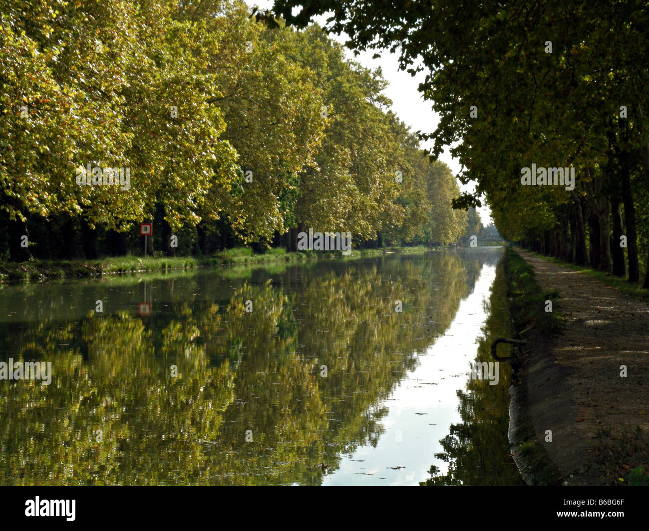 Reflection of trees in water Stock Photo - Alamy