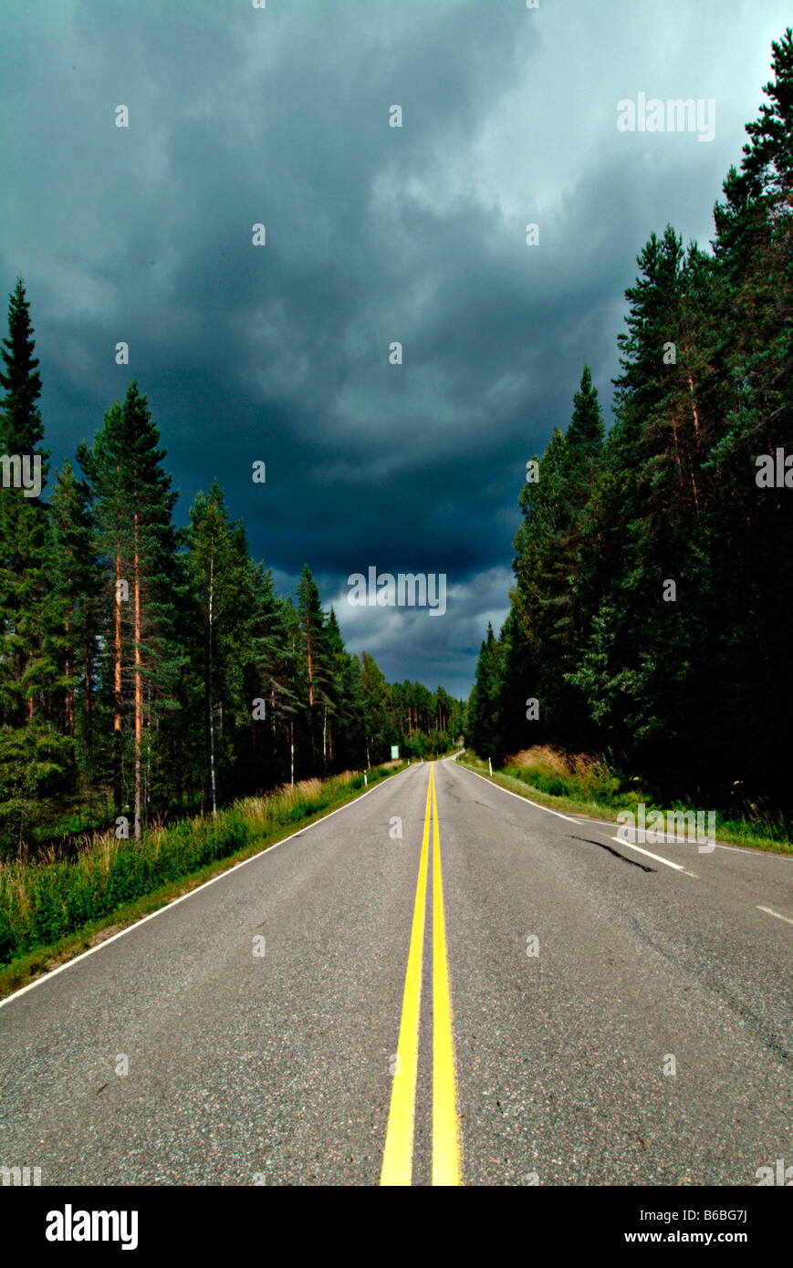 Road running through forest Stock Photo - Alamy