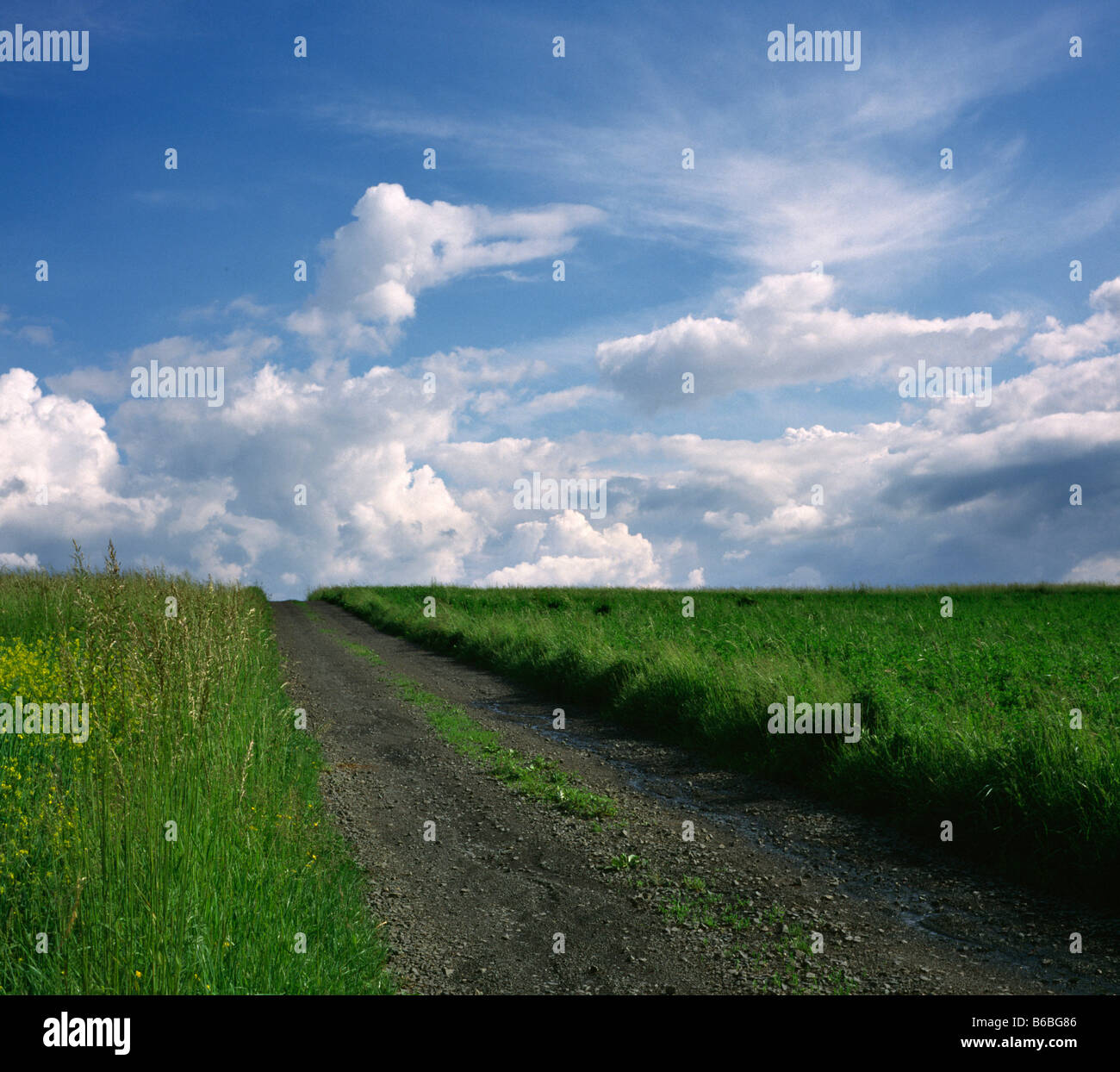 Dirt road running through landscape Stock Photo - Alamy