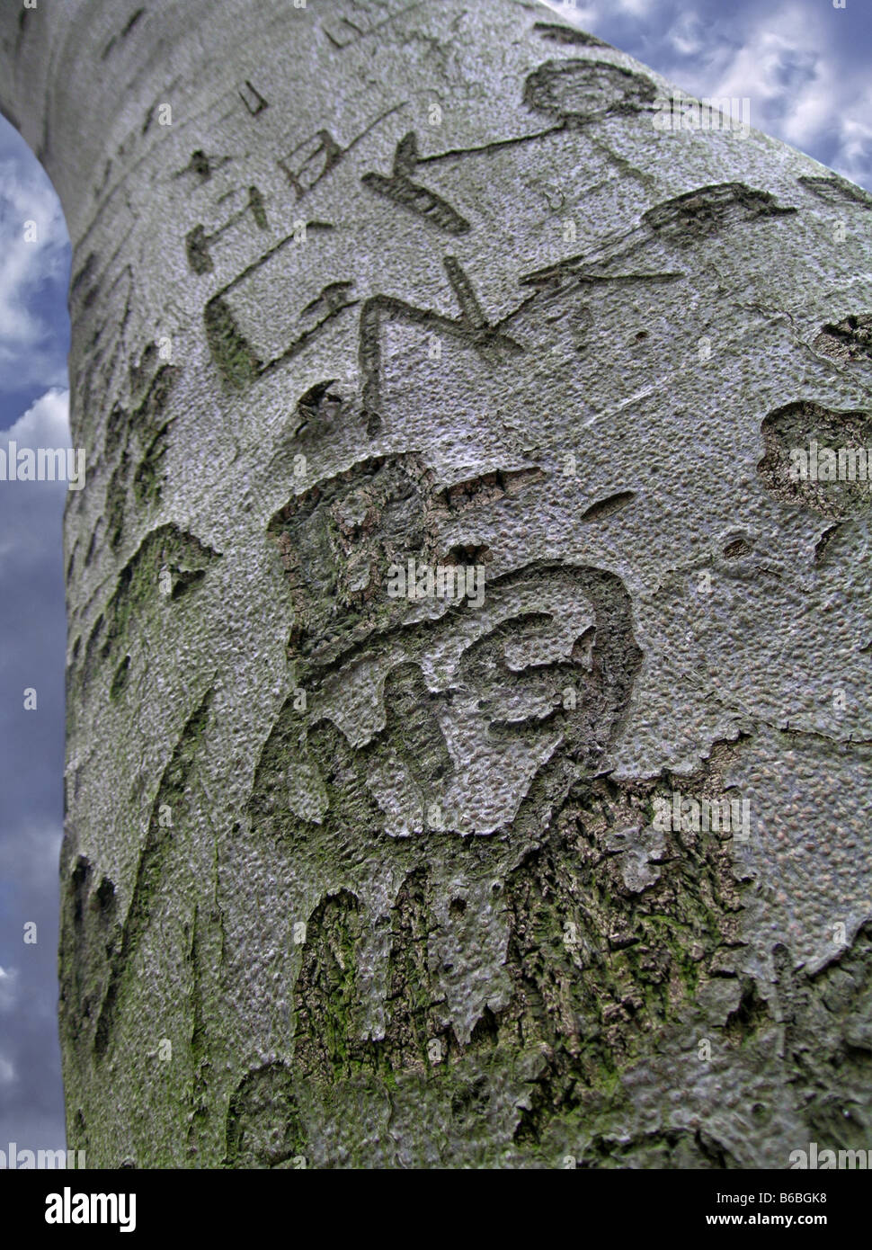 Carving from tree trunk hi-res stock photography and images - Alamy