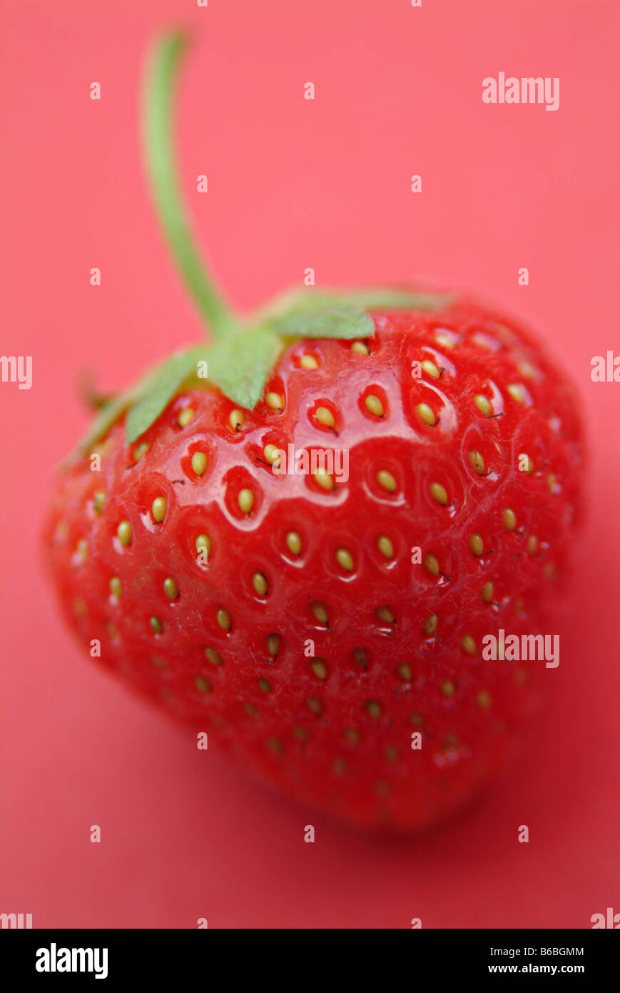 Close-up of strawberry Stock Photo - Alamy