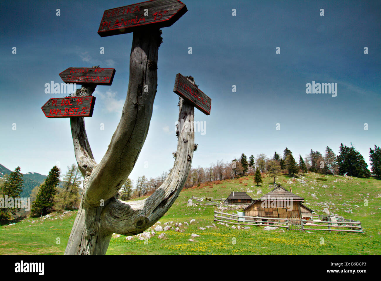 Signboards mounted on tree Stock Photo - Alamy