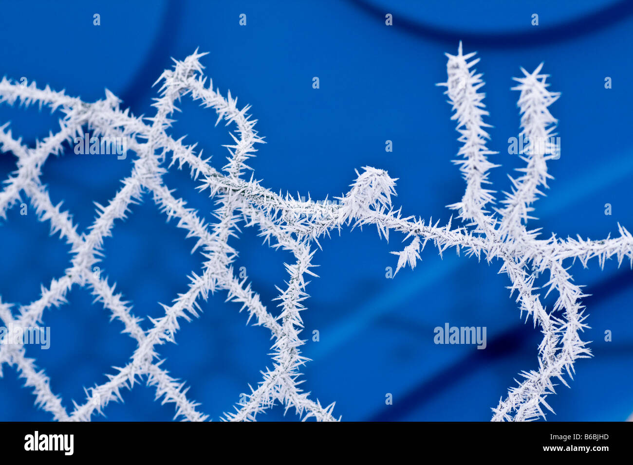 Barbed wire photos hi-res stock photography and images - Alamy