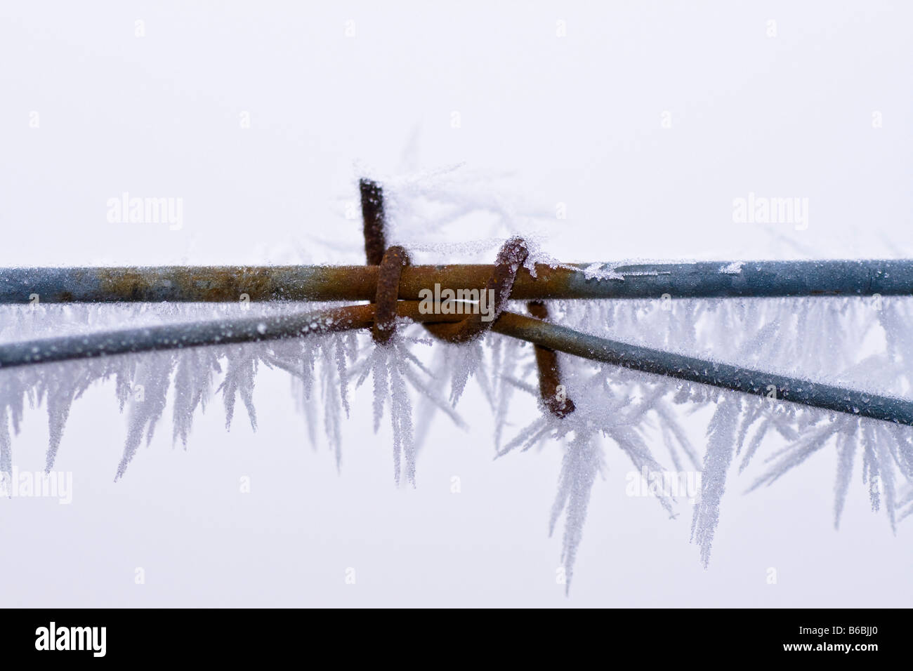 Barbed wire and ice photo hi-res stock photography and images - Alamy
