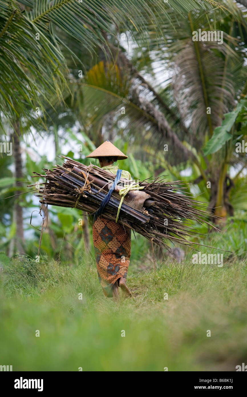 Carrying palm leaves hi-res stock photography and images - Alamy