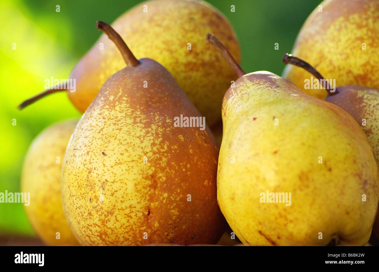 Pear rocha hi-res stock photography and images - Alamy