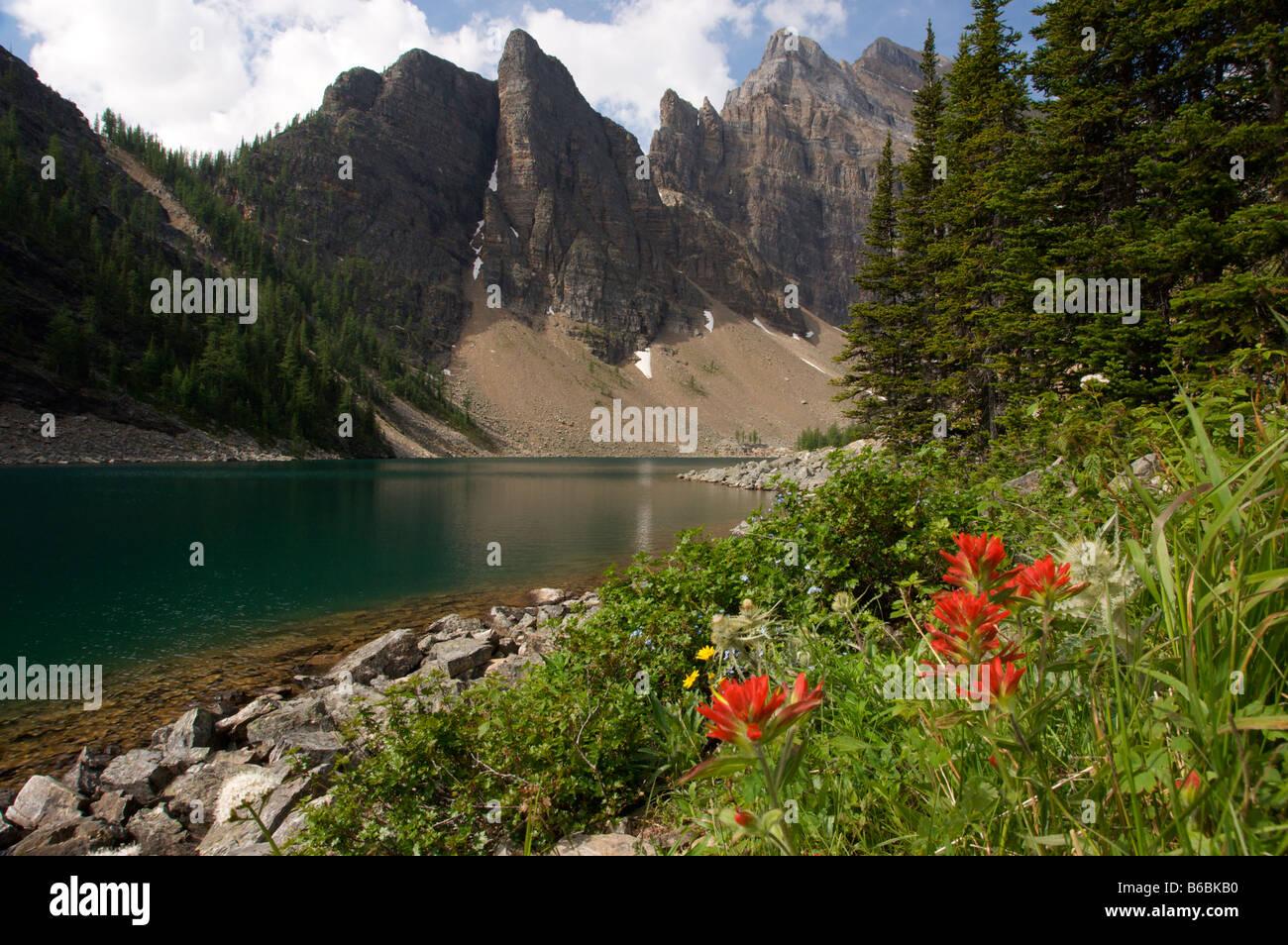 Lake louise banff flowers hi-res stock photography and images - Alamy