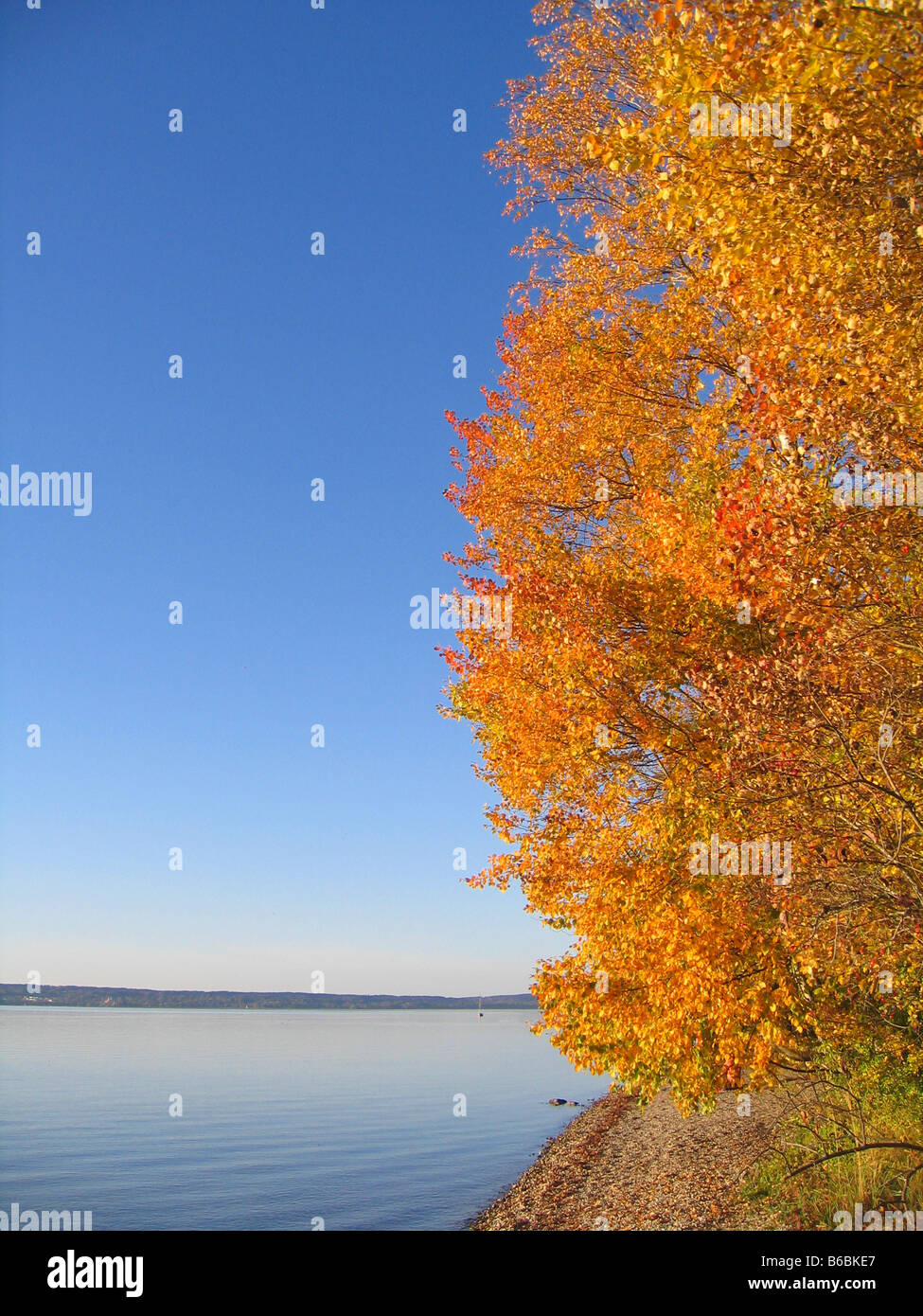 Autumn trees at lakeside Stock Photo - Alamy